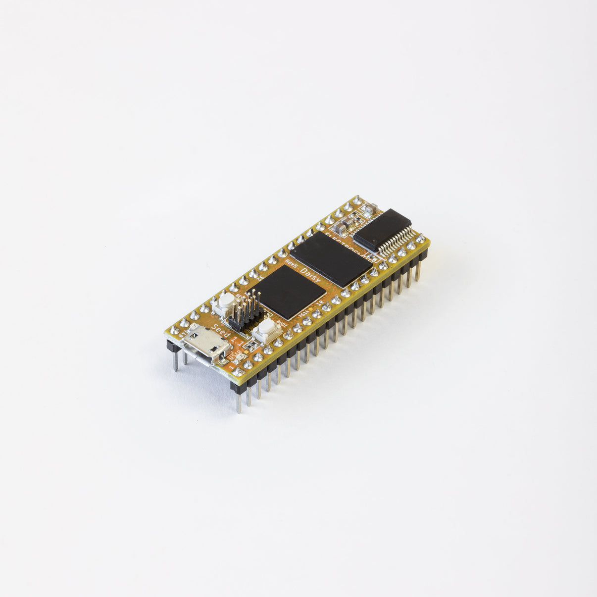 Seed – Electrosmith